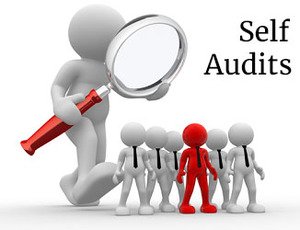 Custom Self-Audits – NBJ Consulting℠